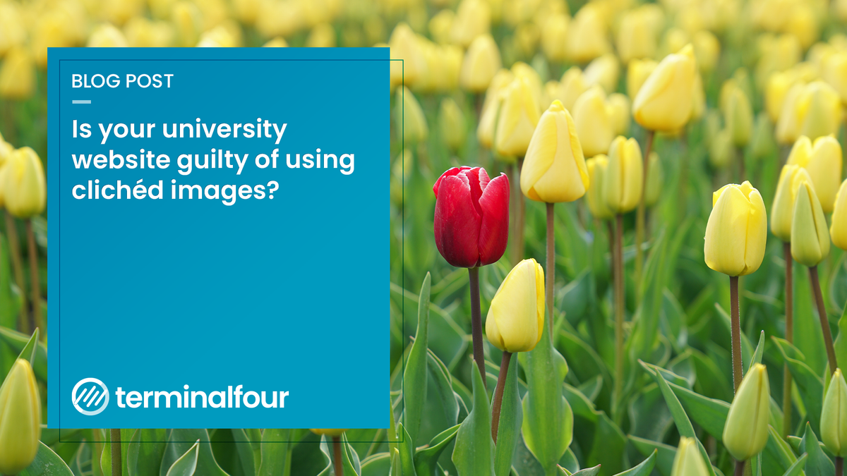 Blog - Is your university website guilty of using clichéd images?