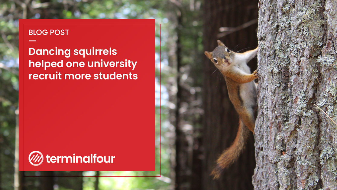 Blog - How dancing squirrels helped one university recruit more students